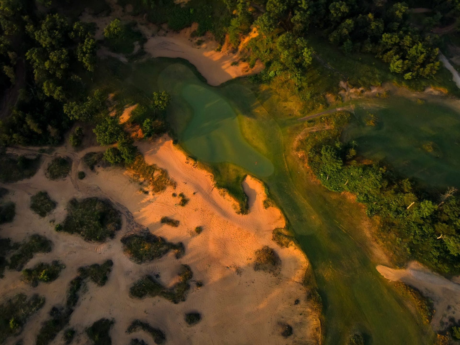 Mammoth Dunes at Sand Valley Guide | GolfTrailsHQ